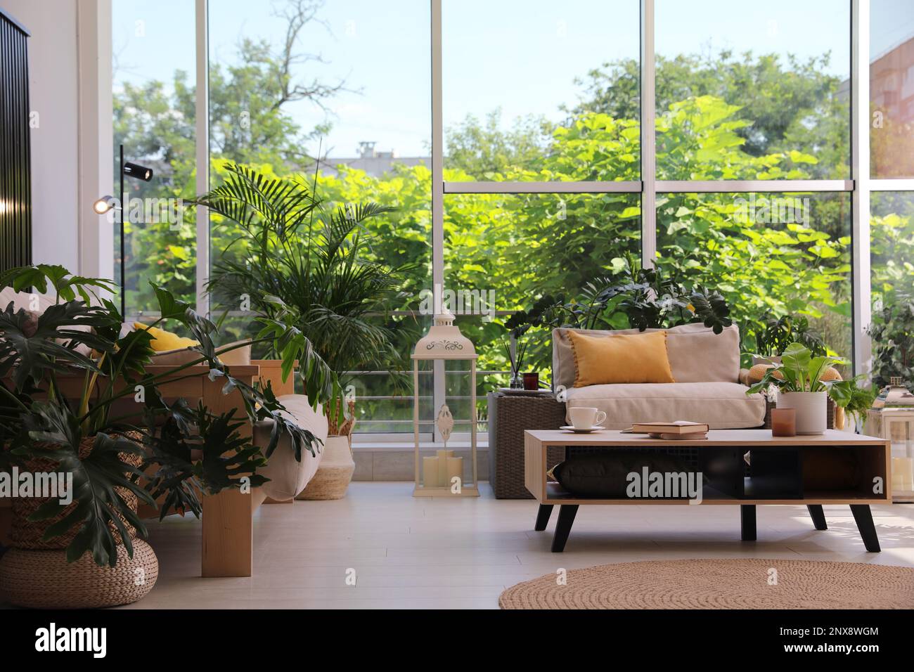 Indoor terrace interior with modern furniture and houseplants Stock ...
