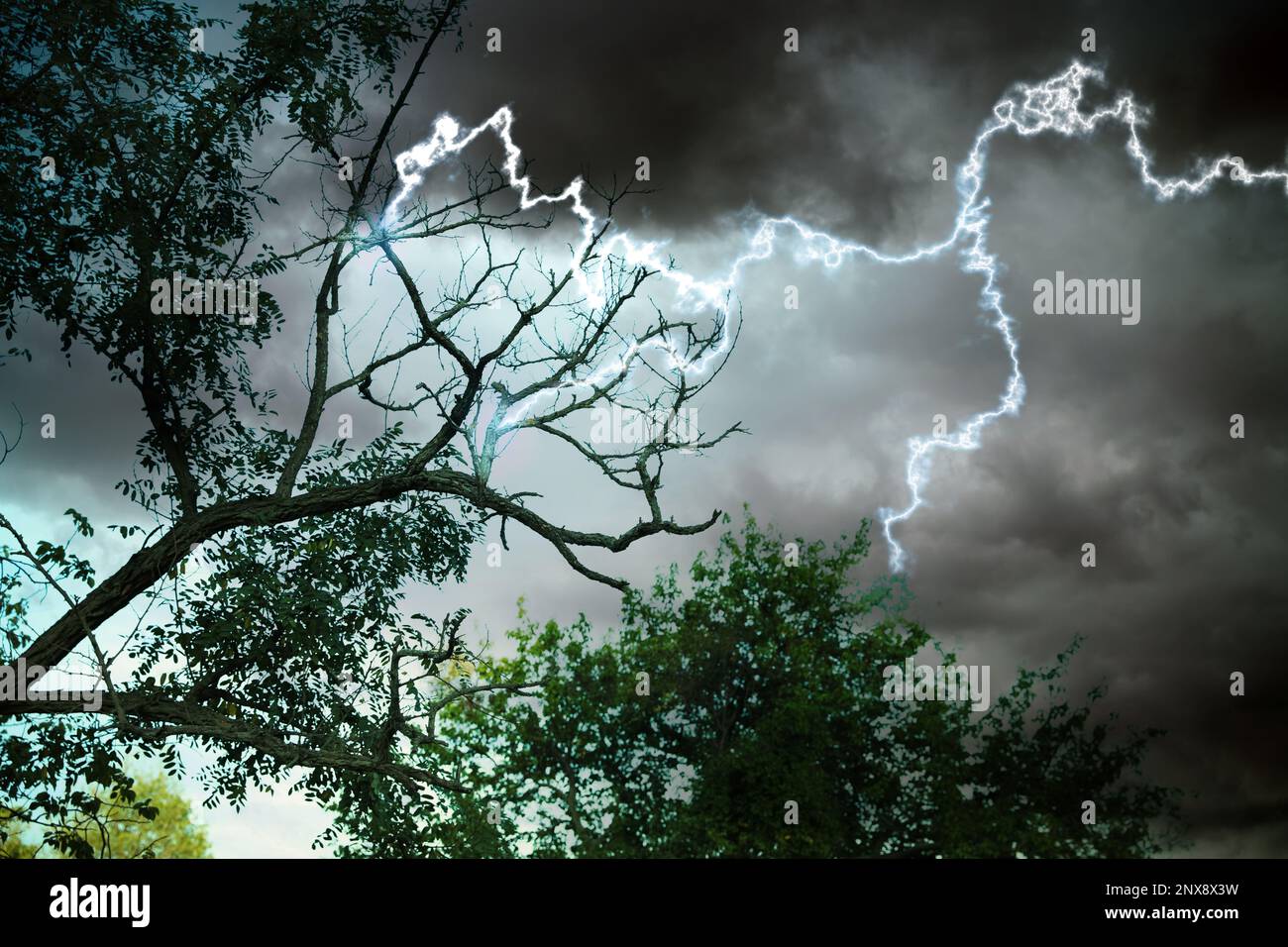 Dark cloudy sky with lightning striking trees. Thunderstorm Stock Photo ...