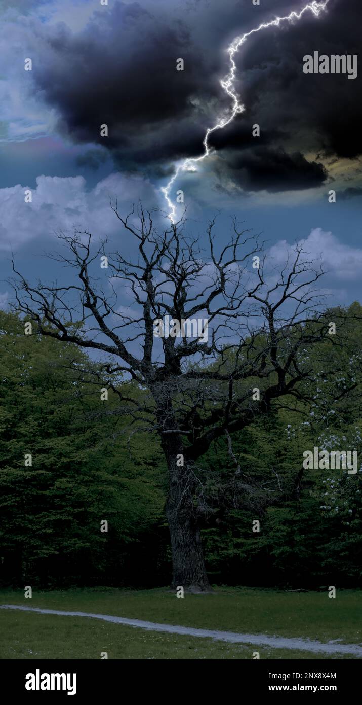 Dark cloudy sky with lightning striking tree. Thunderstorm Stock Photo ...
