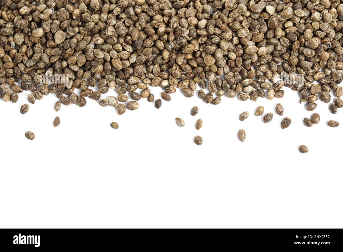 Hemp seeds on white background, top view Stock Photo - Alamy