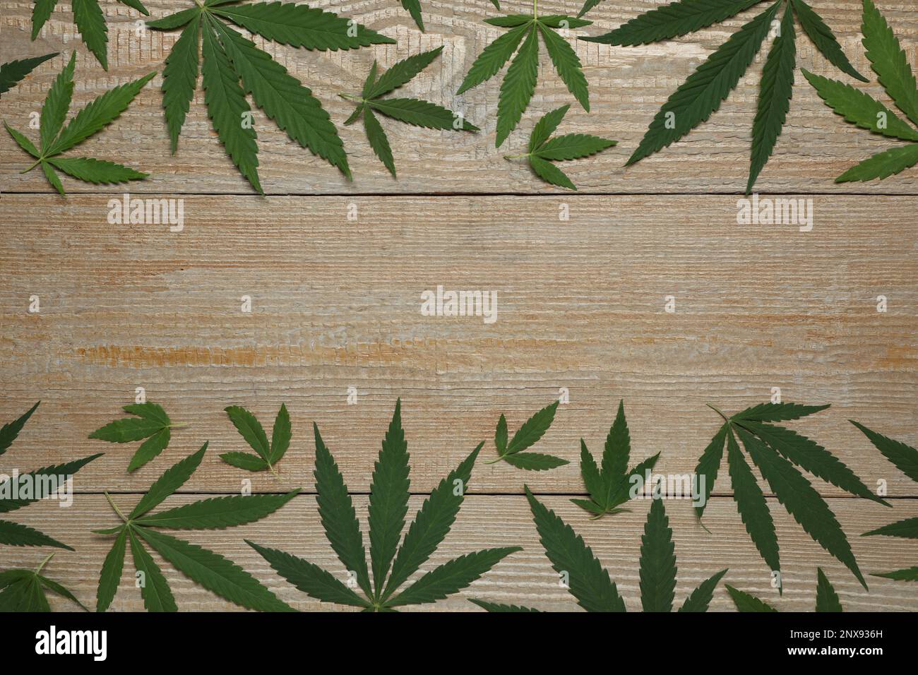 Weed free border hi-res stock photography and images - Alamy