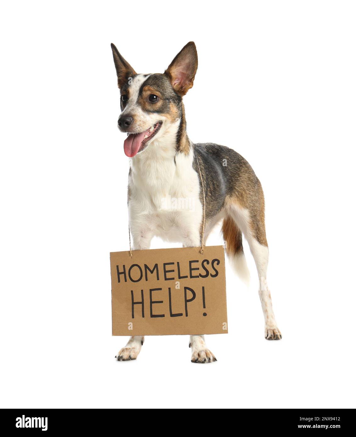 Homelessness shelter Cut Out Stock Images & Pictures - Alamy