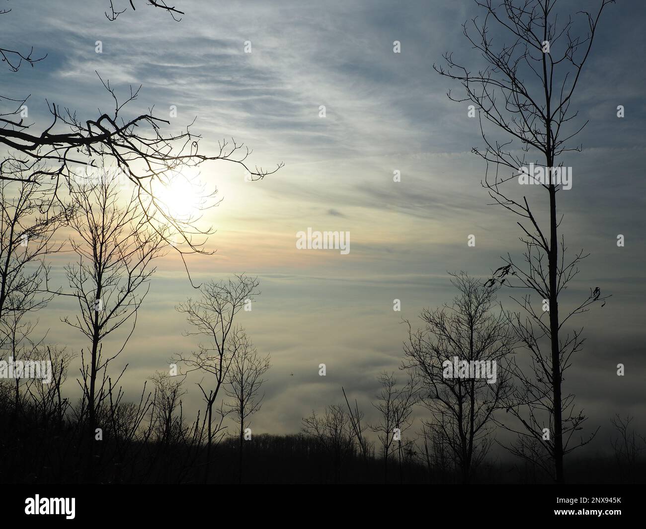 Winter sunset through trees hi-res stock photography and images - Alamy