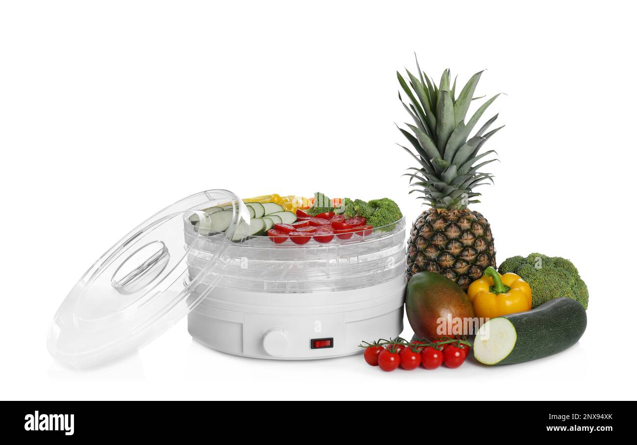 Modern dehydrator machine with different fruits and vegetables on white ...