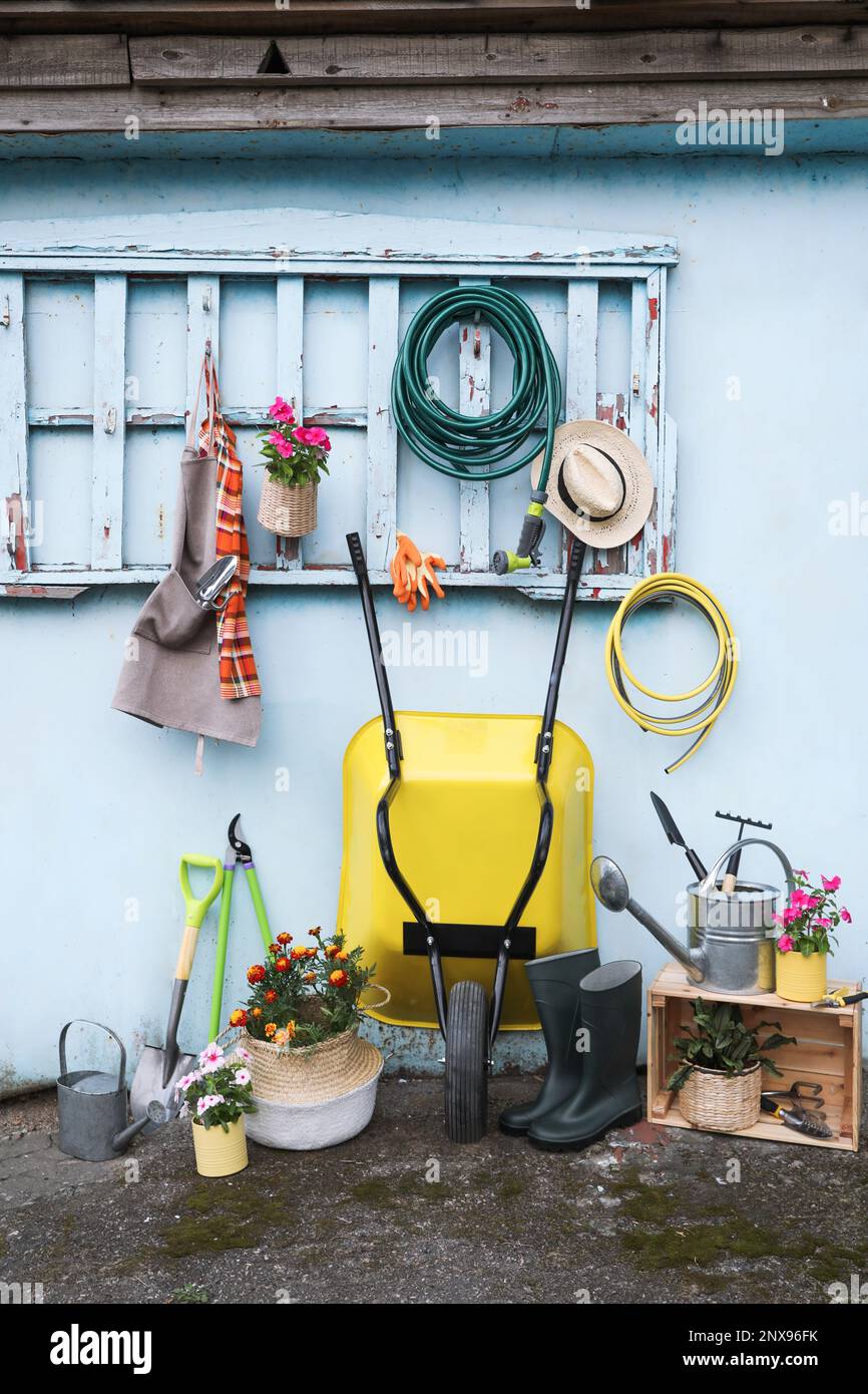 Beautiful plants, gardening tools and accessories near shed outdoors ...