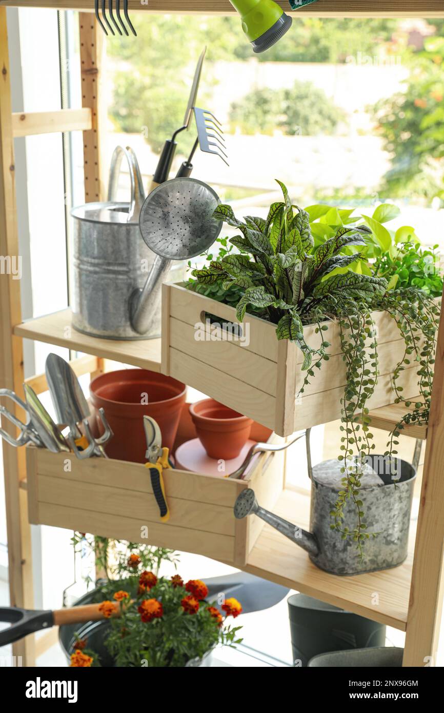 Beautiful plants and gardening tools on rack indoors Stock Photo - Alamy