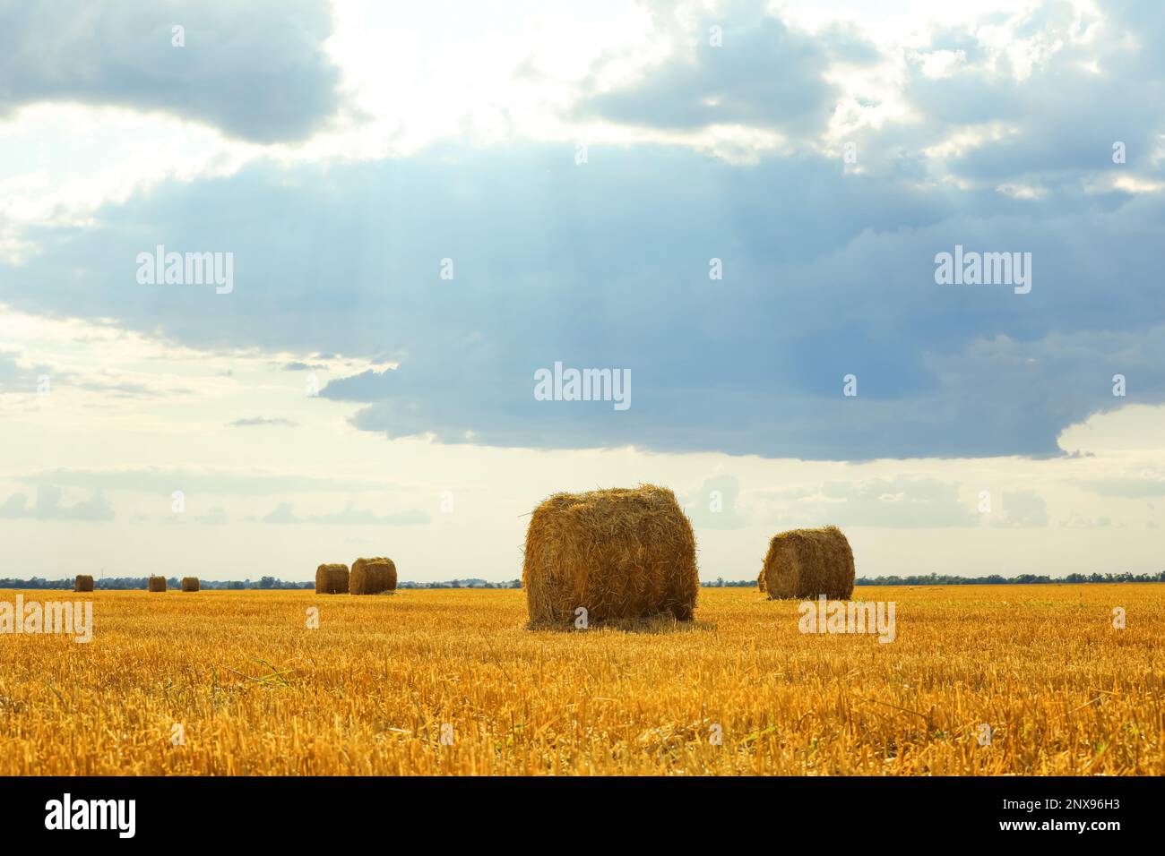 Beautiful view of agricultural field with hay bales Stock Photo - Alamy