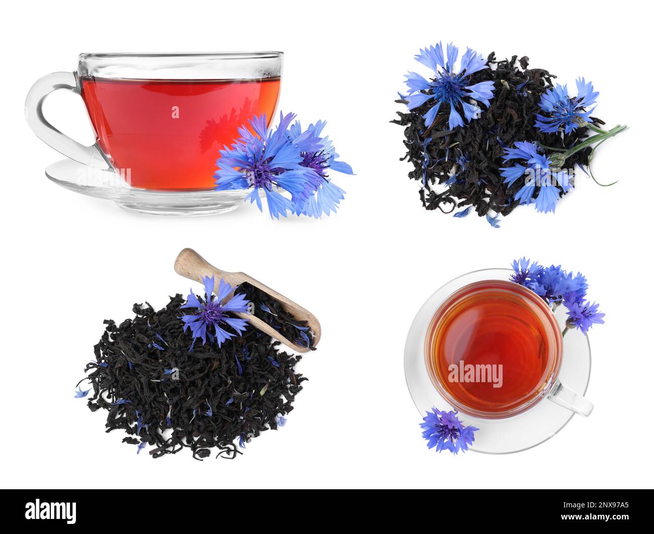 Set with cornflower tea on white background Stock Photo - Alamy
