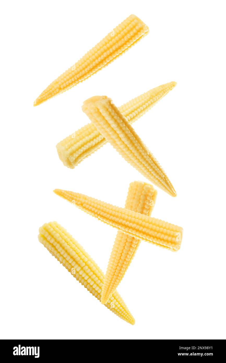 Tasty baby corn cobs flying on white background Stock Photo - Alamy