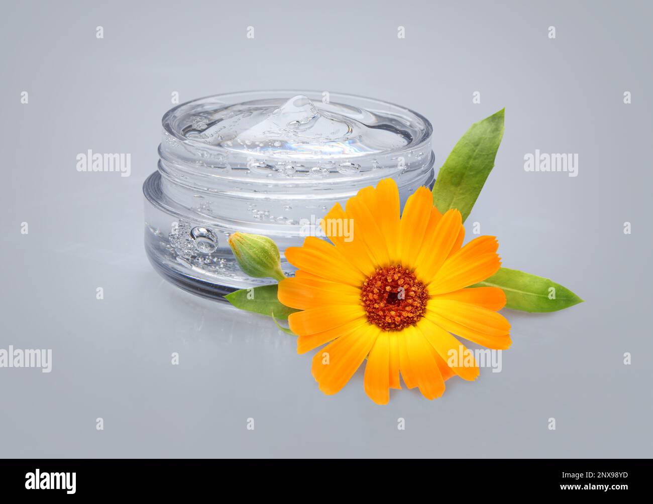 Transparent gel with calendula extract on light grey background ... Transparent gel with calendula extract on light grey background ...