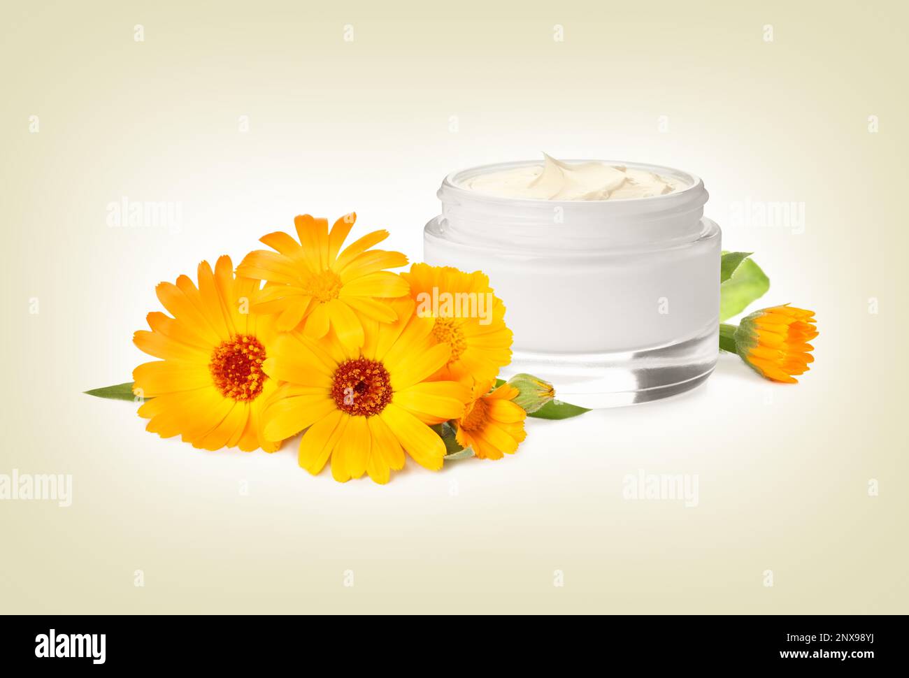 Body cream with calendula extract on light background. Natural based ...