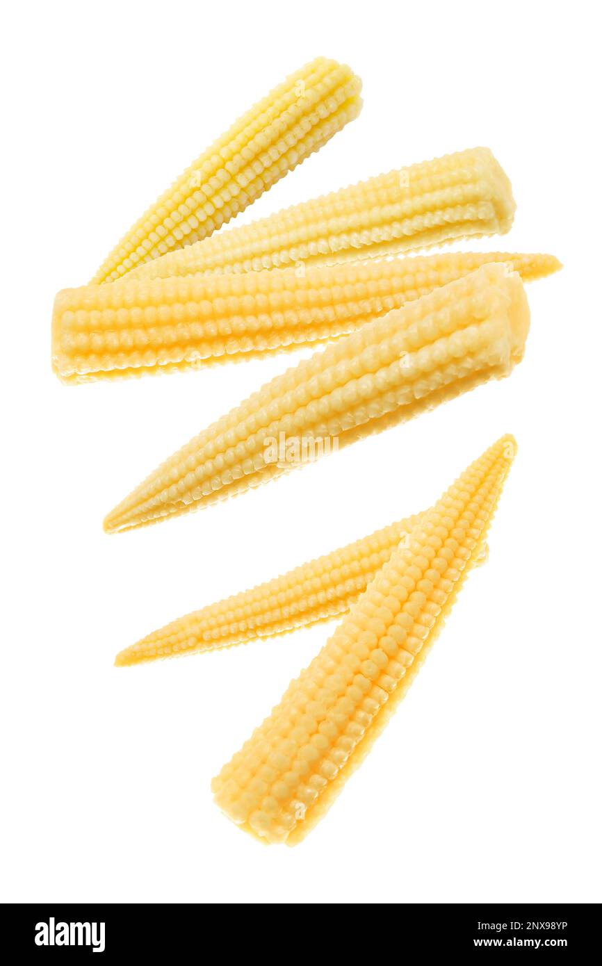 Tasty baby corn cobs flying on white background Stock Photo - Alamy