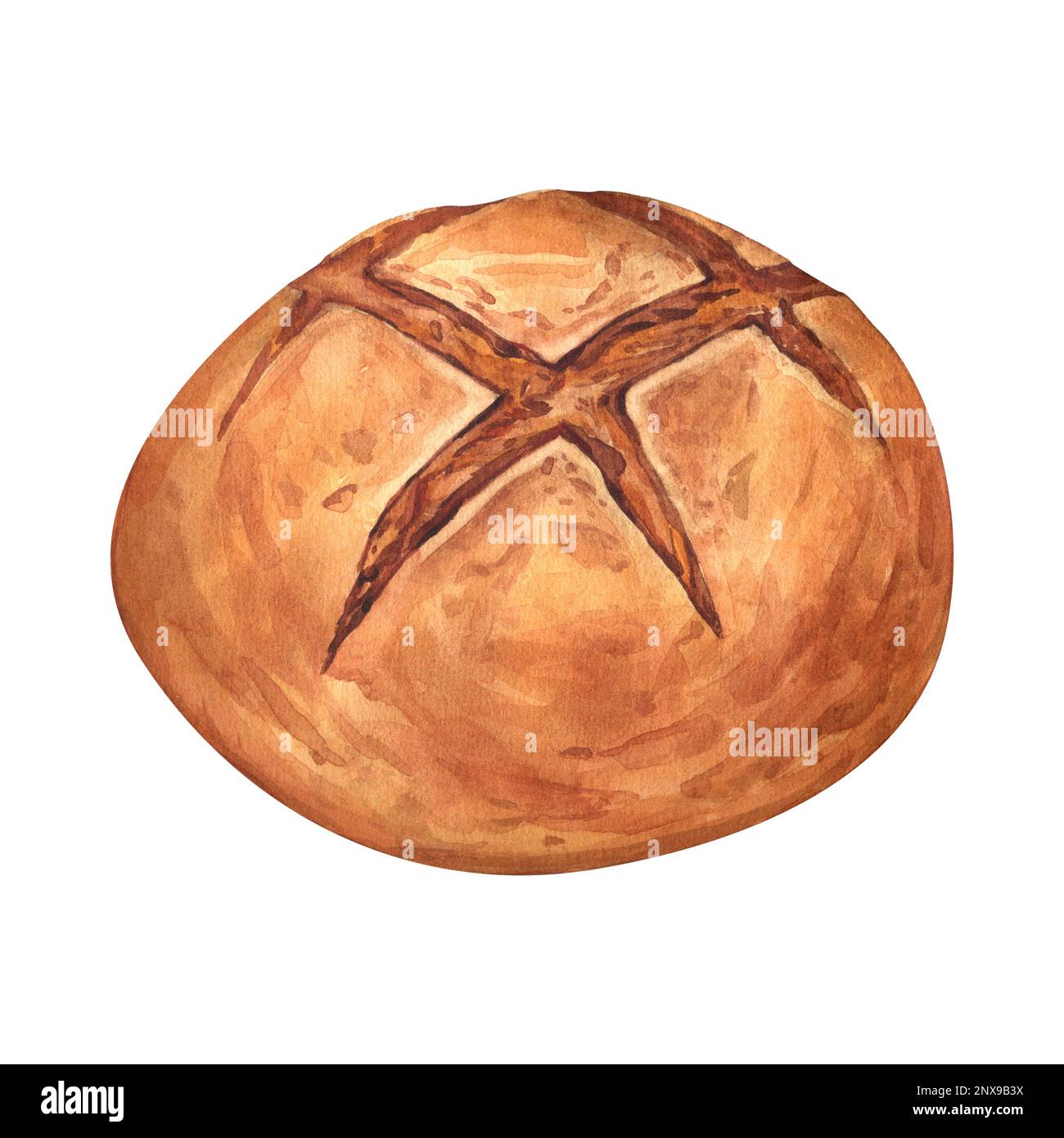 Watercolor fresh baked bread of sourdough. Artisan bread on light ...