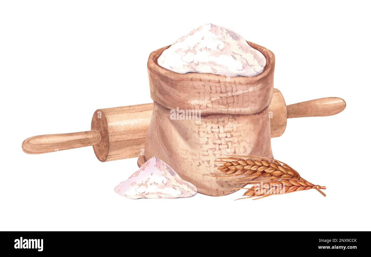 Flour, grain, rolling pin and wheat set. Watercolor hand drawn ...
