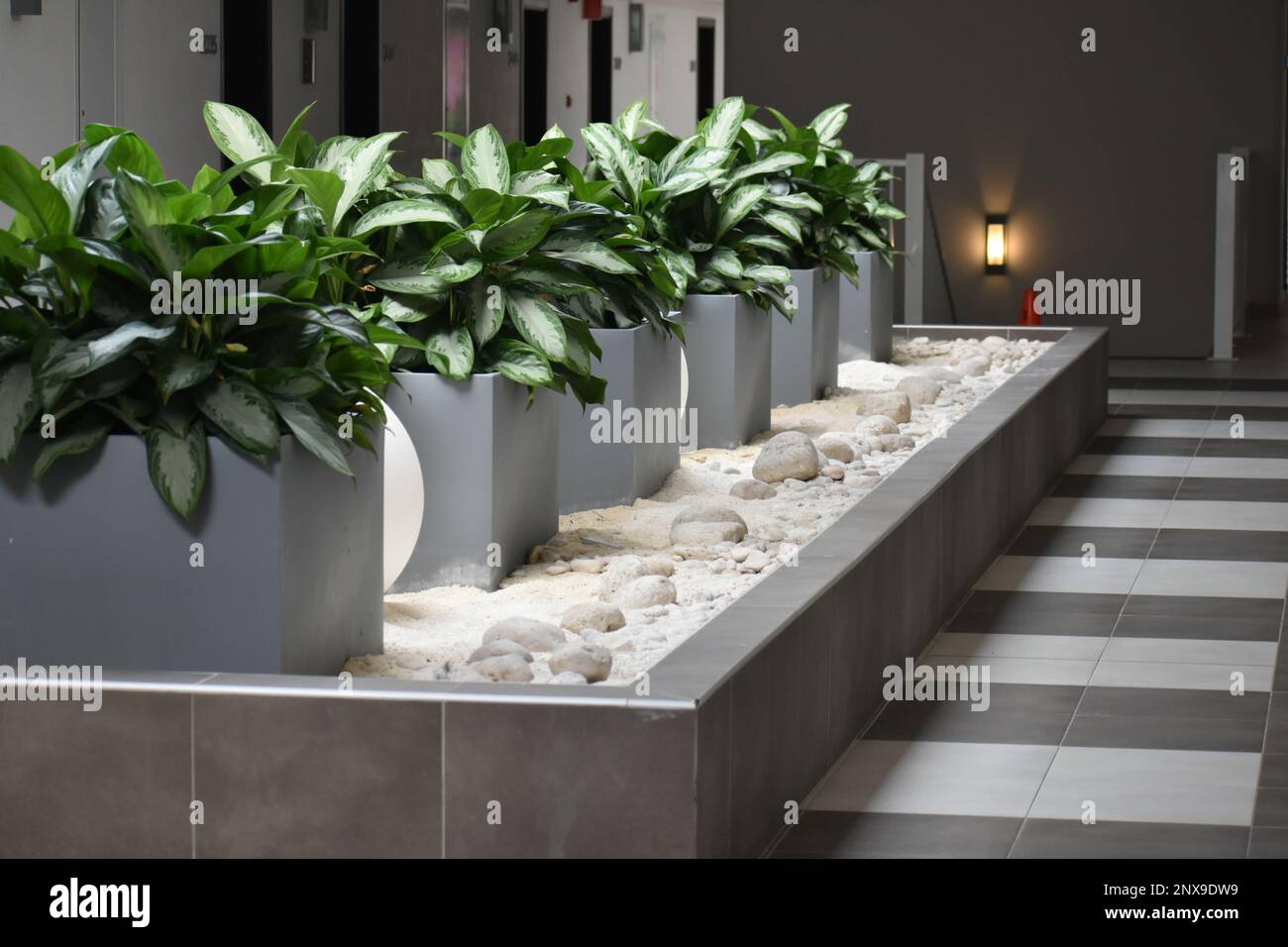 Plants lined inside a building Stock Photo - Alamy