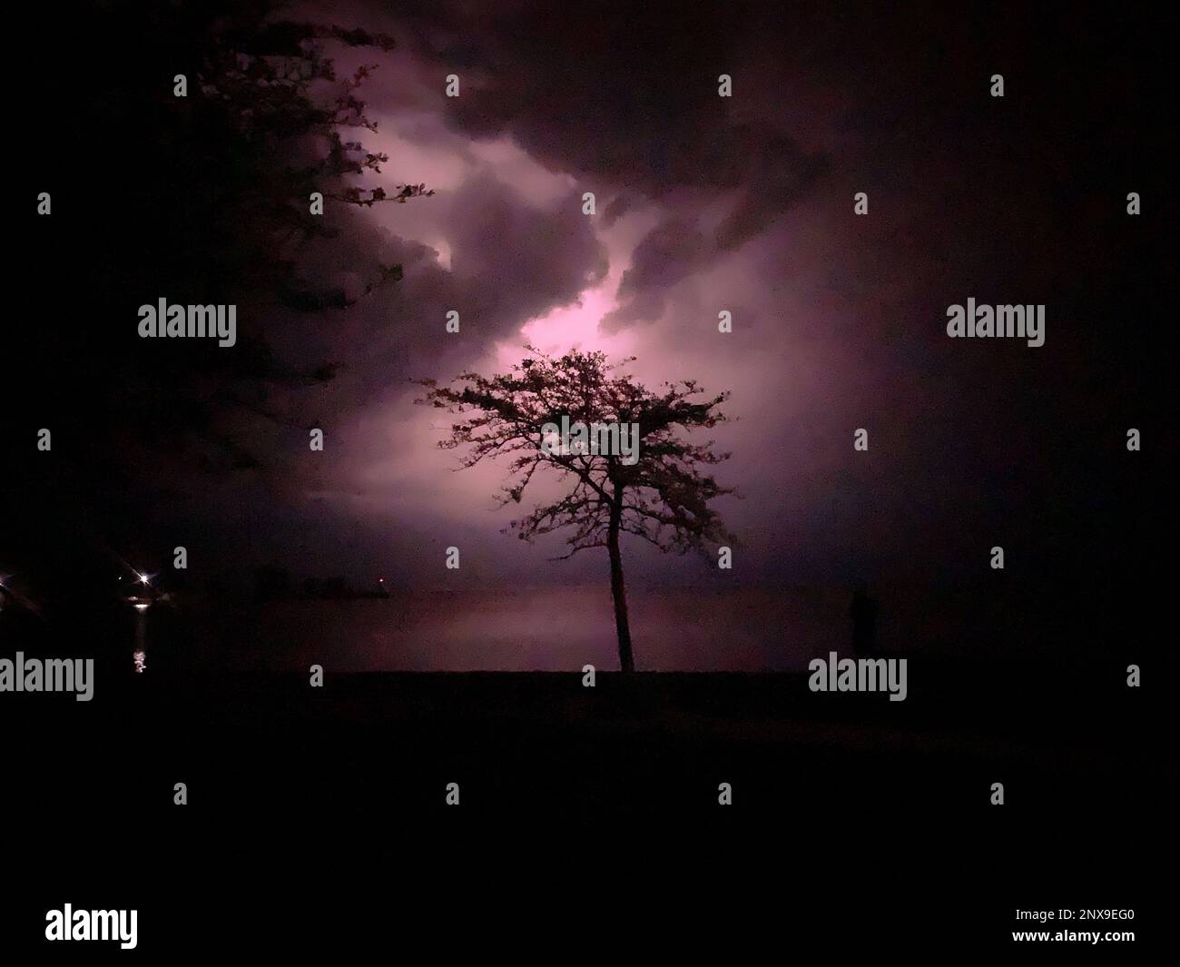 Tree at night time during a thunderstorm Stock Photo - Alamy