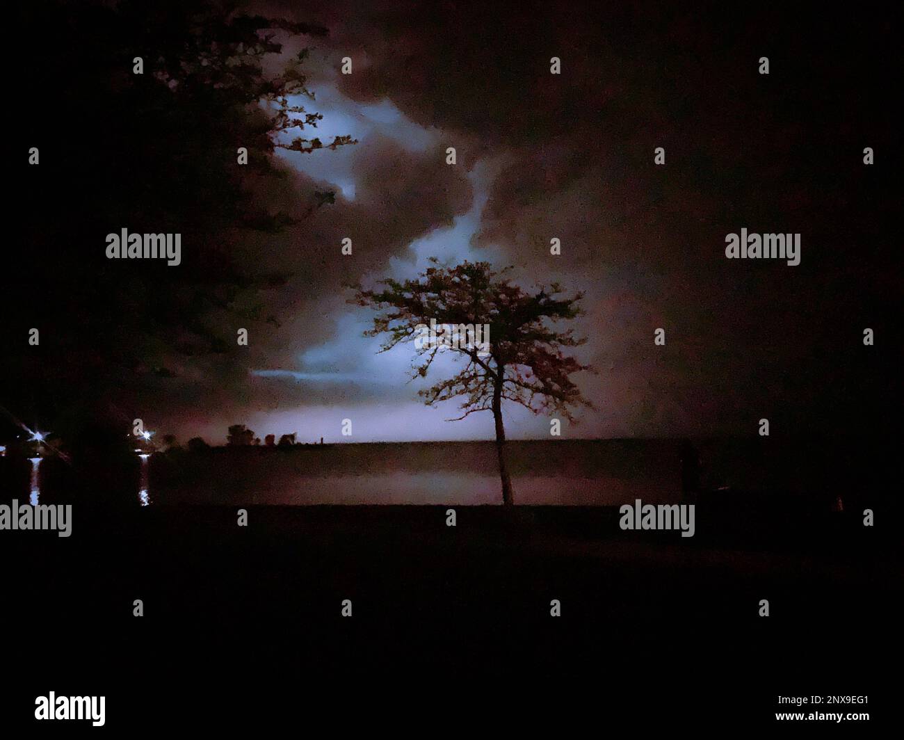 Tree at night time during a thunderstorm with blue and pink sky Stock ...