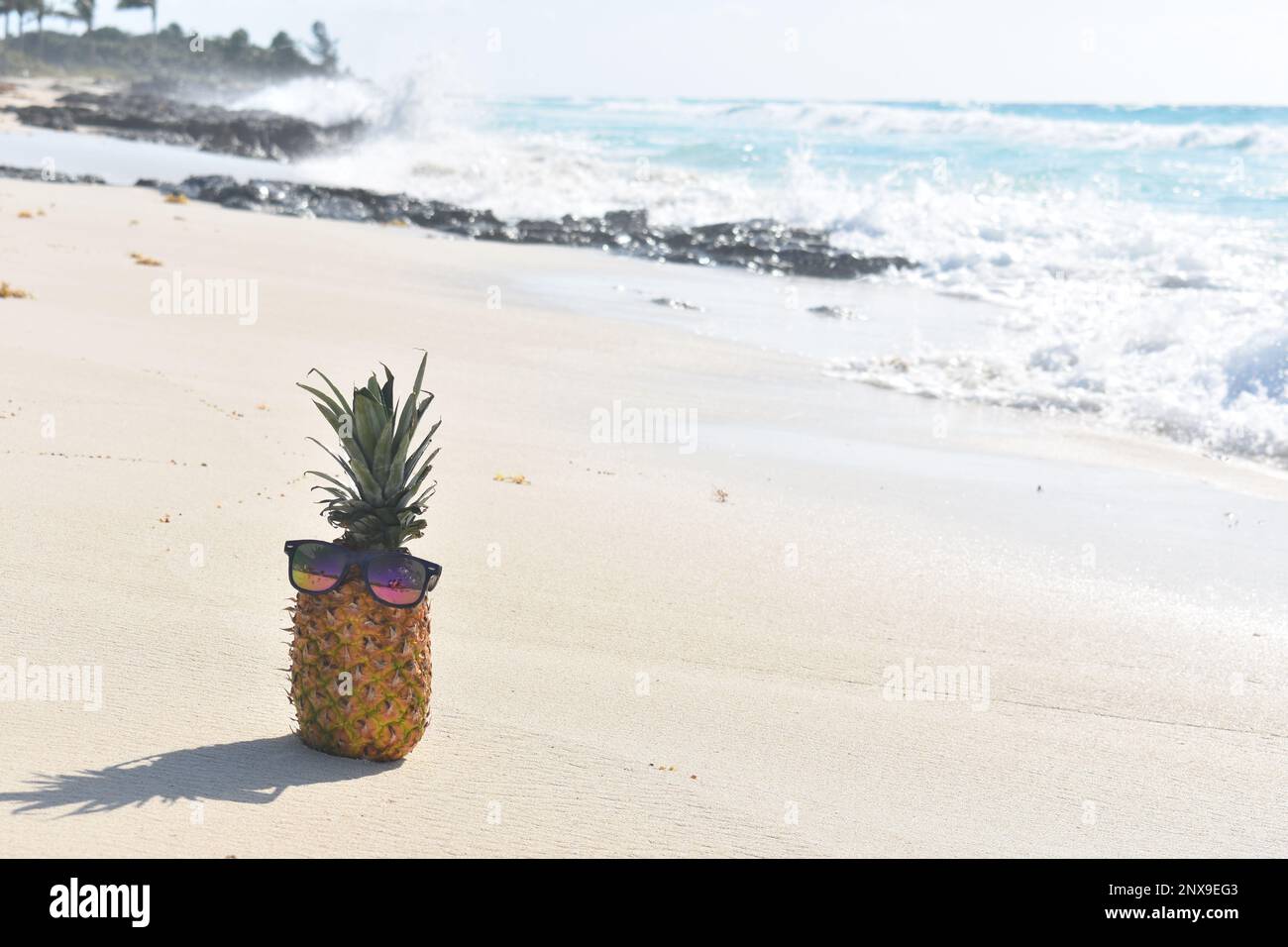 Pineapple on the beach with sunglasses on with waves in the background ...
