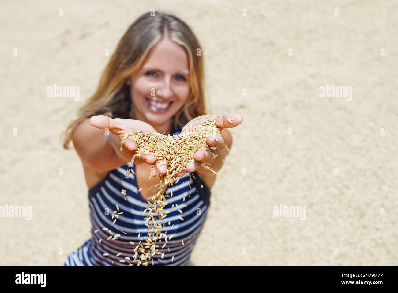 Woman with handful of rough unmilled rice grains in hands on background ...