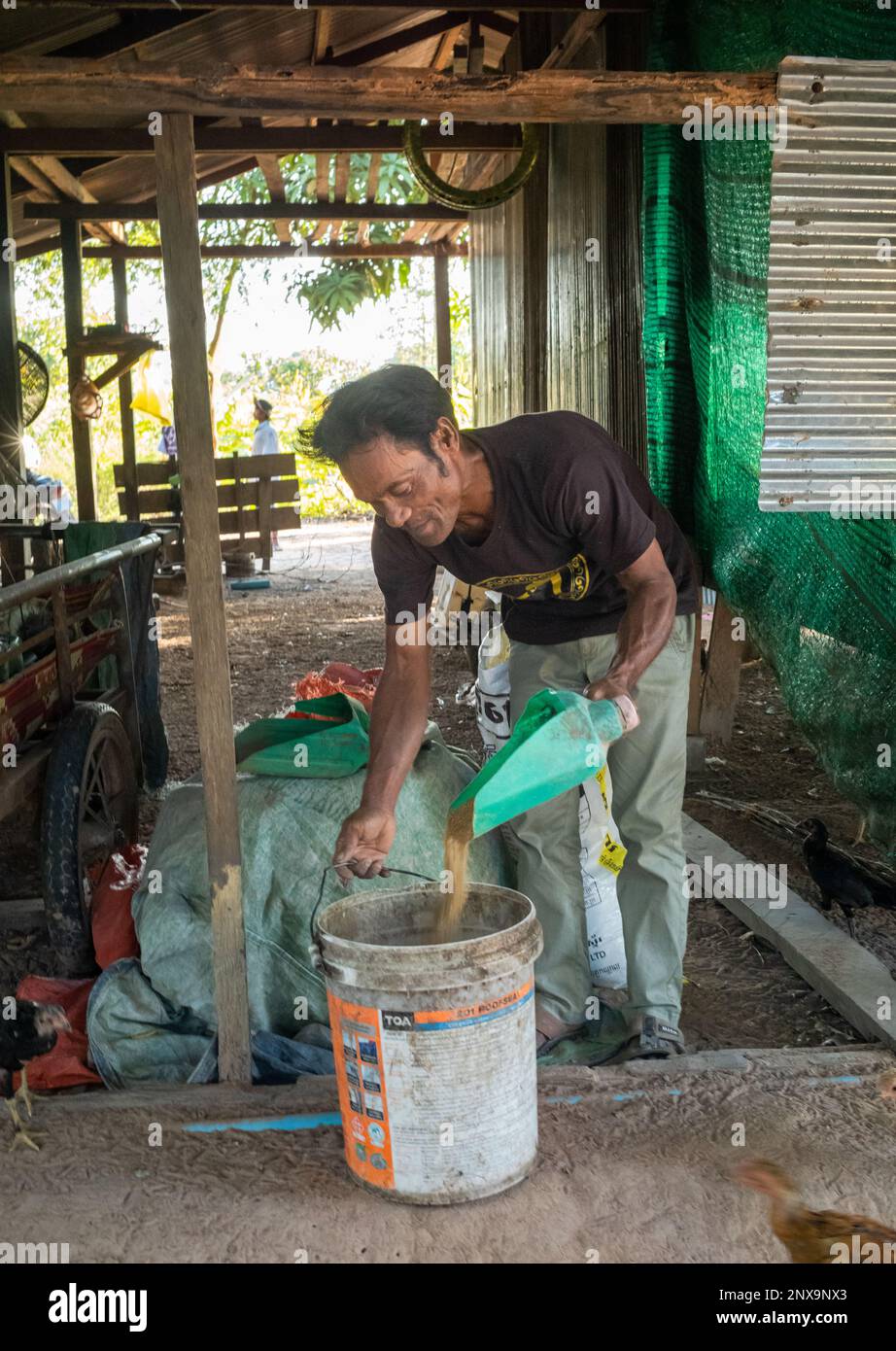 A man in a rural village in Siem Reap province, Cambodia, prepares rice ...