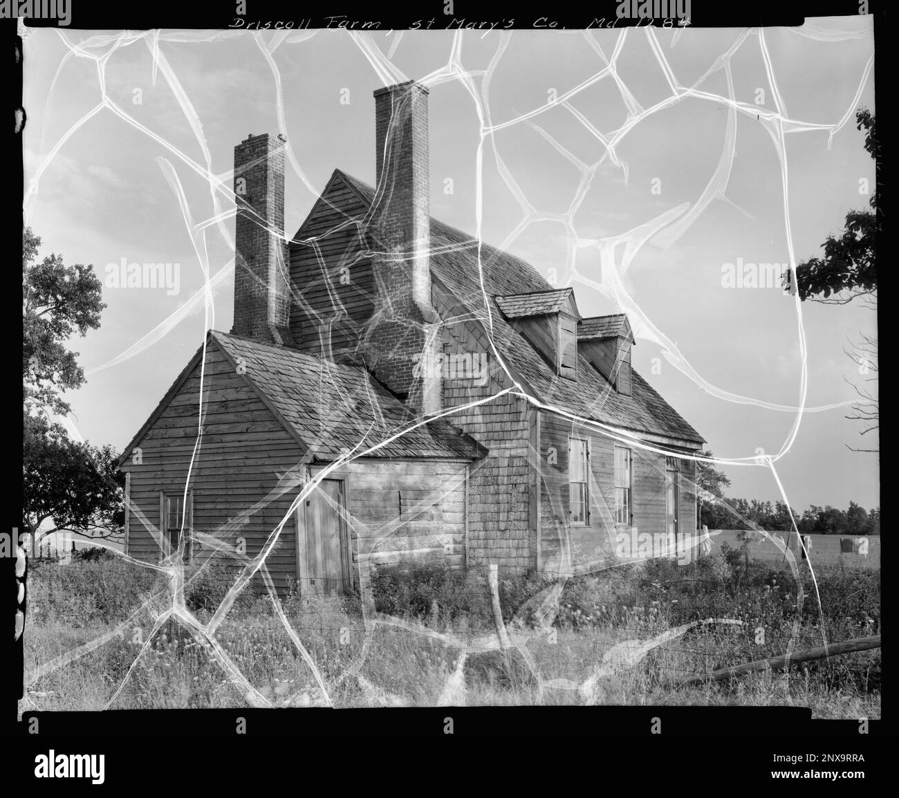 Driscoll Farm, Trap vic., St. Mary's County, Maryland. Carnegie Survey ...