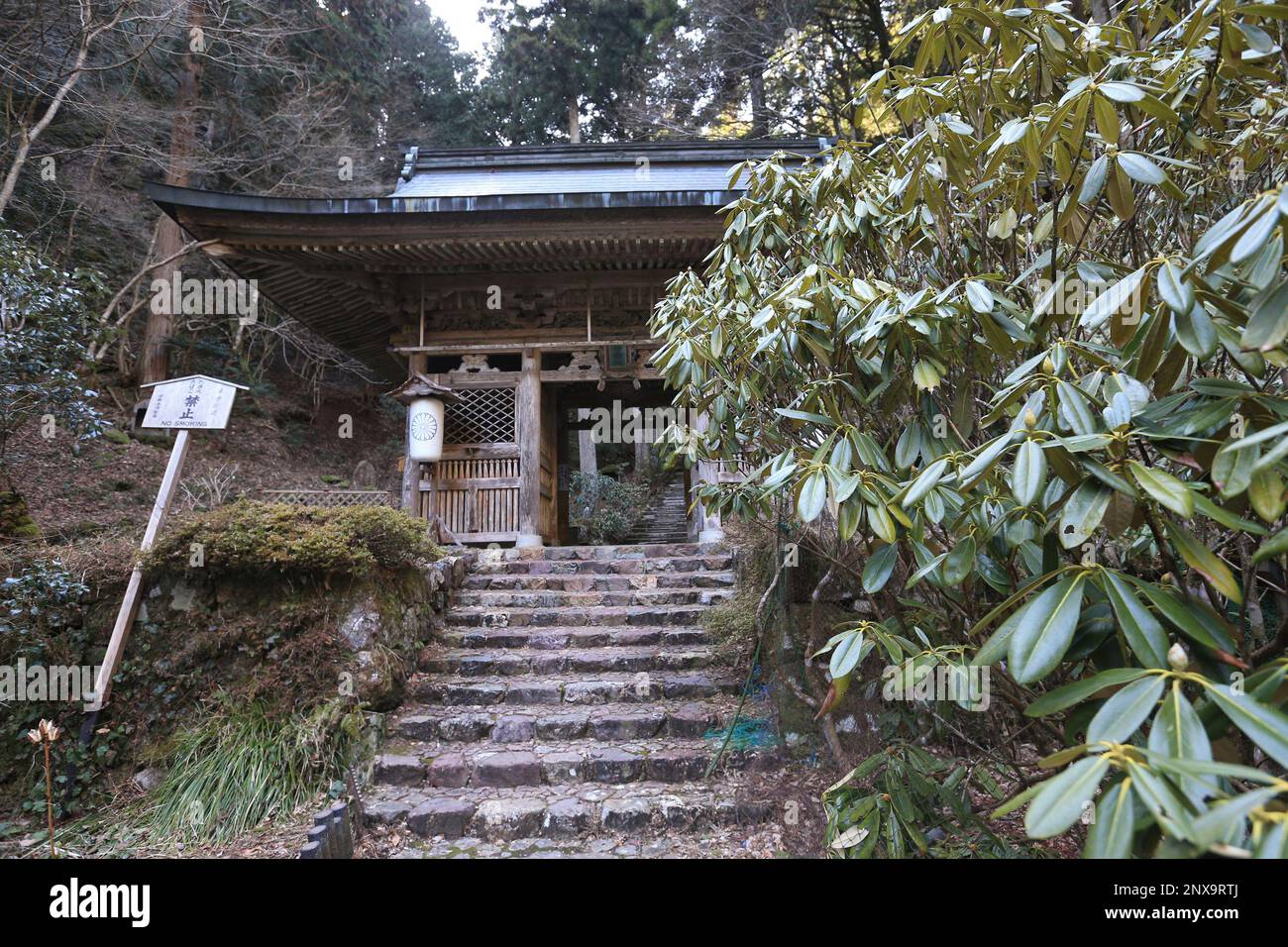 A picture taken on March 12, 2018 shows a two-storied gate at Shimyoin ...