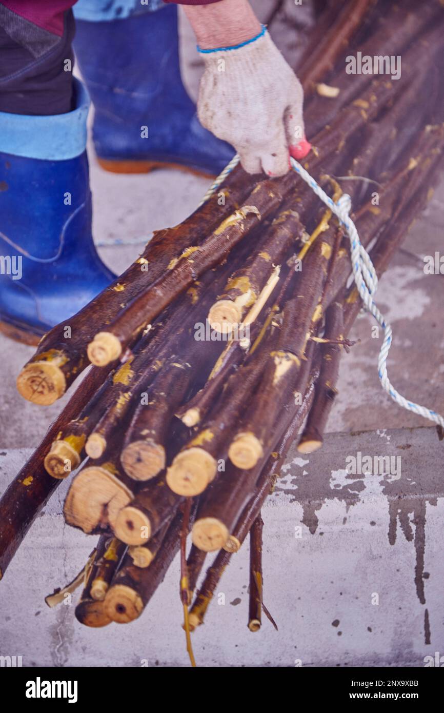 Hanji, traditional Korean paper, paper doll handmade from mulberry ...