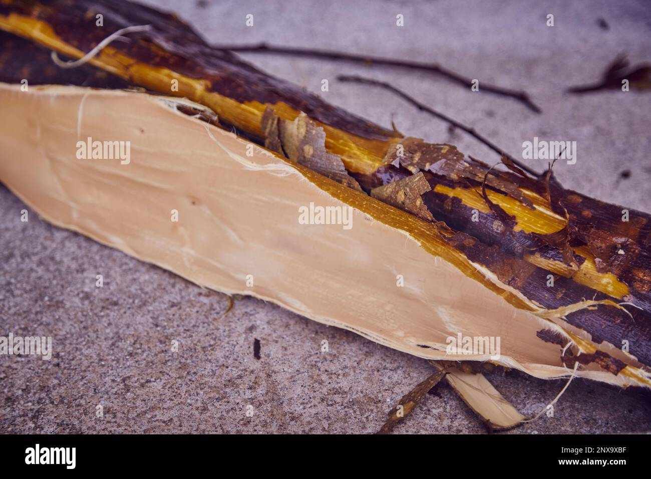 Hanji process hi-res stock photography and images - Alamy