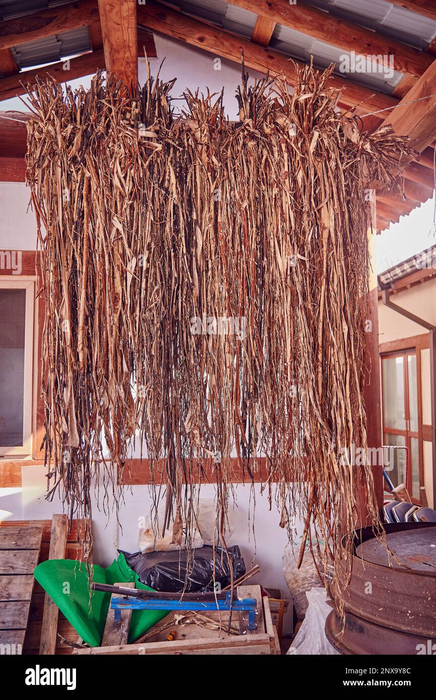 Hanji, traditional Korean paper, paper doll handmade from mulberry ...