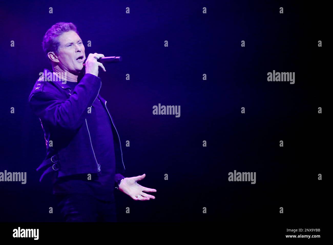 Actor and singer David Hasselhoff performs during a concert at the ...