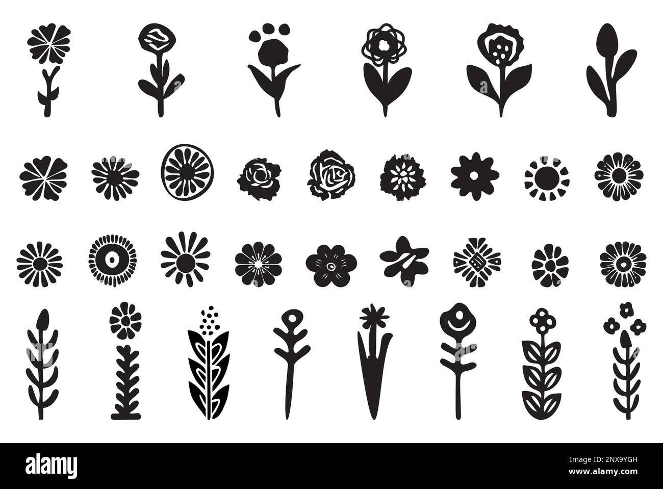 Collection of botanical isolated vector motifs. Set of woodland plant ...