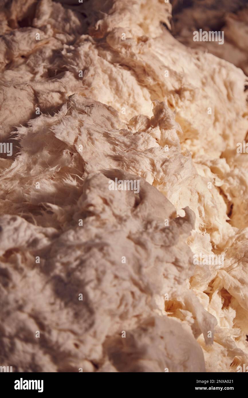 Hanji, traditional Korean paper, paper doll handmade from mulberry ...