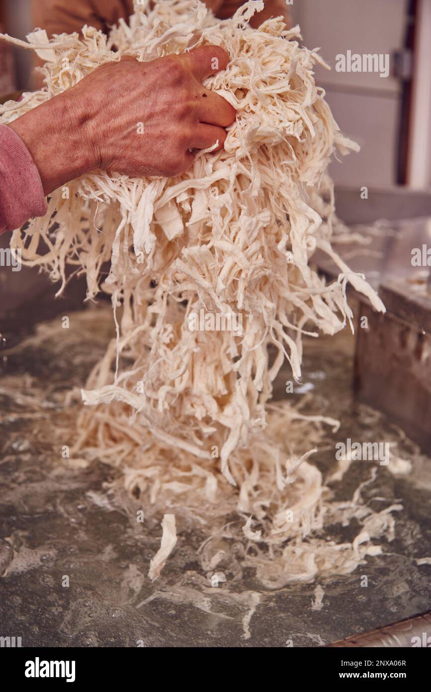 Hanji, traditional Korean paper, paper doll handmade from mulberry ...