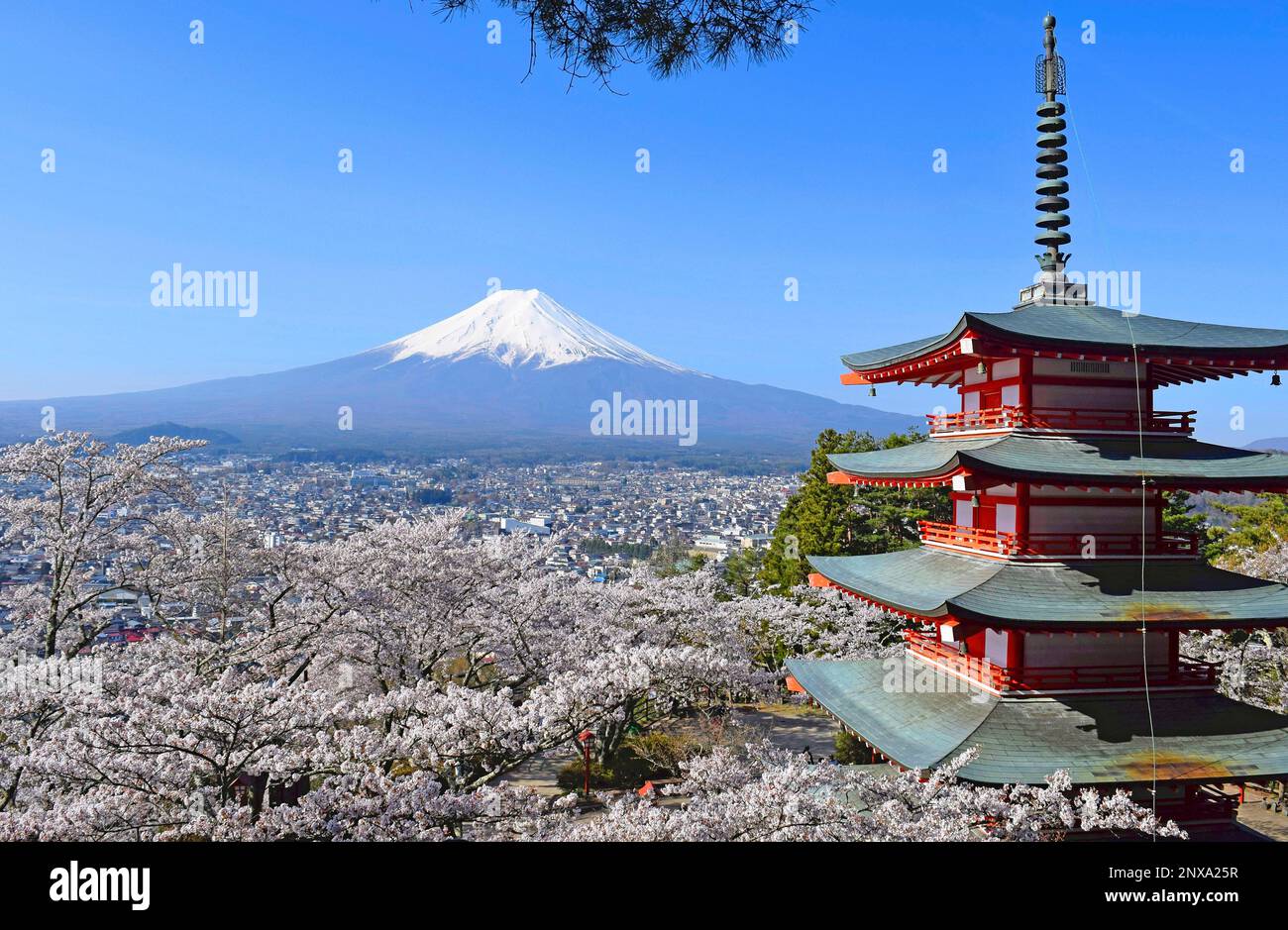 This photo shows a perfect Japanese symbolic landscape including Mt ...