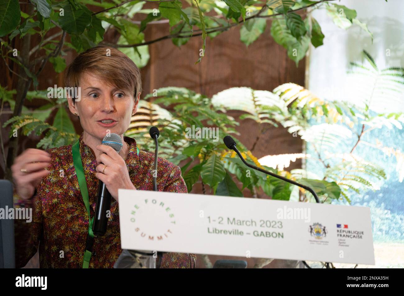 Primatologist forest hi-res stock photography and images - Alamy