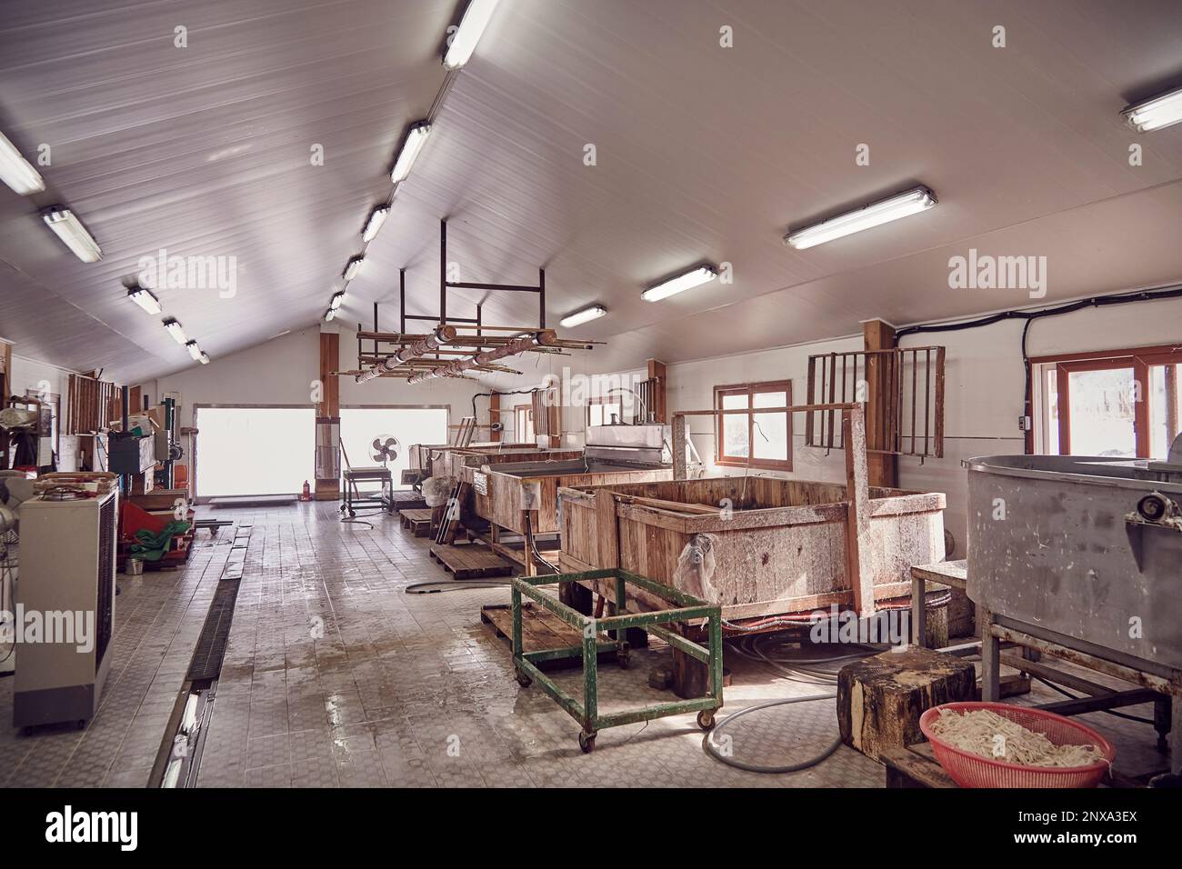 Hanji, traditional Korean paper, paper doll handmade from mulberry ...