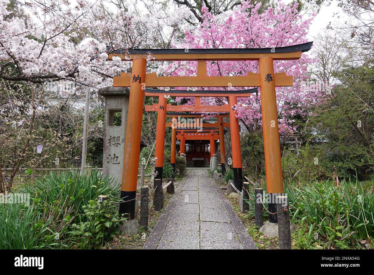 the world of japan Stock Photo - Alamy