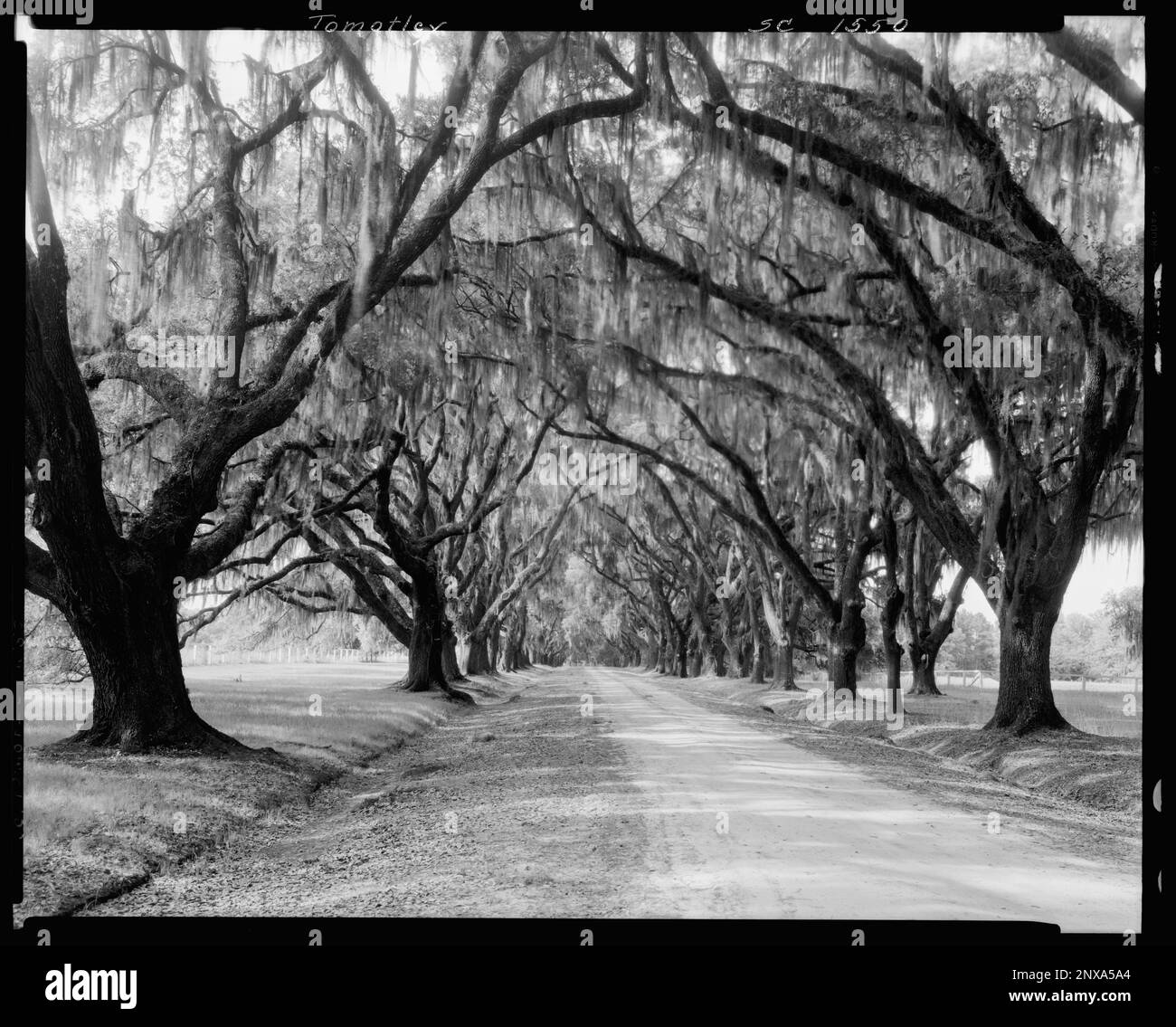 Tomotley, Sheldon, Beaufort County, South Carolina. Carnegie Survey of ...