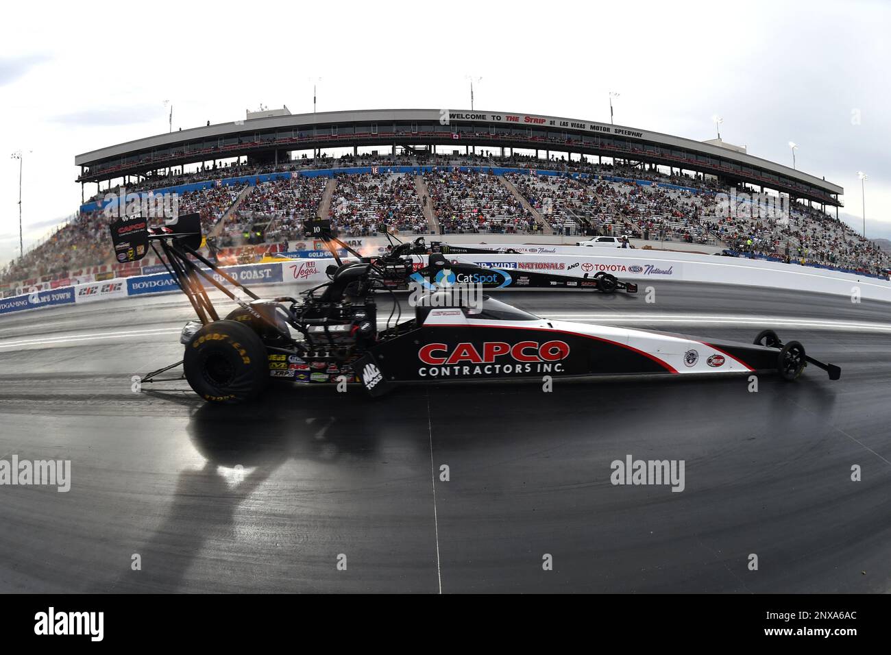 LAS VEGAS, NV - APRIL 06: Billy Torrence (474 TF) NHRA Top Fuel ...