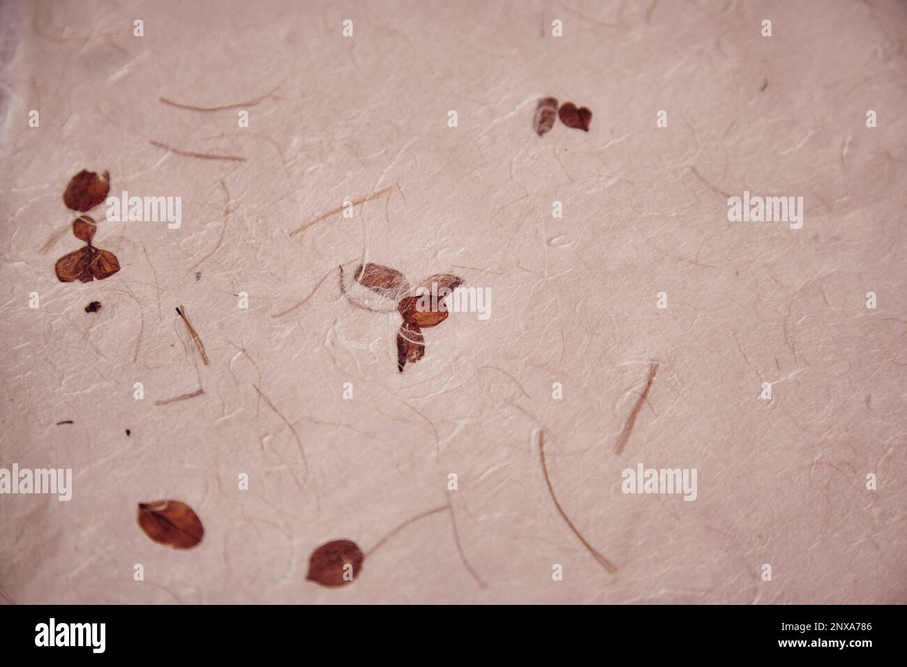 Hanji, traditional Korean paper, paper doll handmade from mulberry ...