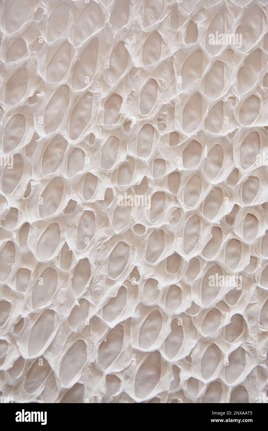 Hanji, traditional Korean paper, paper doll handmade from mulberry ...