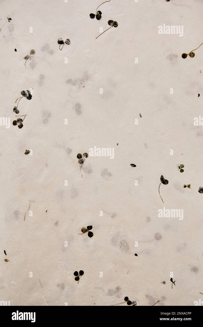 Hanji, traditional Korean paper, paper doll handmade from mulberry ...