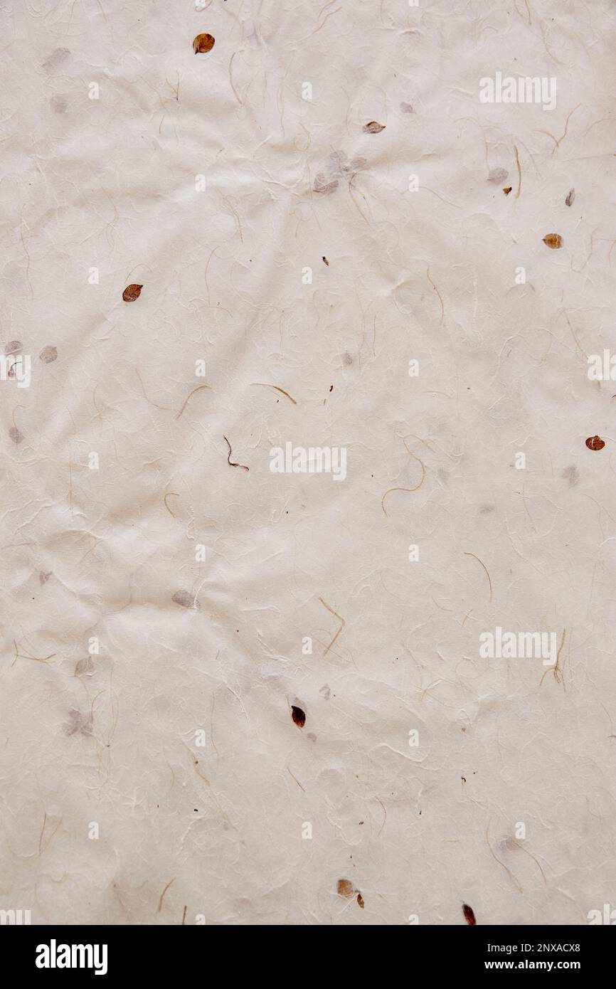 Hanji, traditional Korean paper, paper doll handmade from mulberry ...