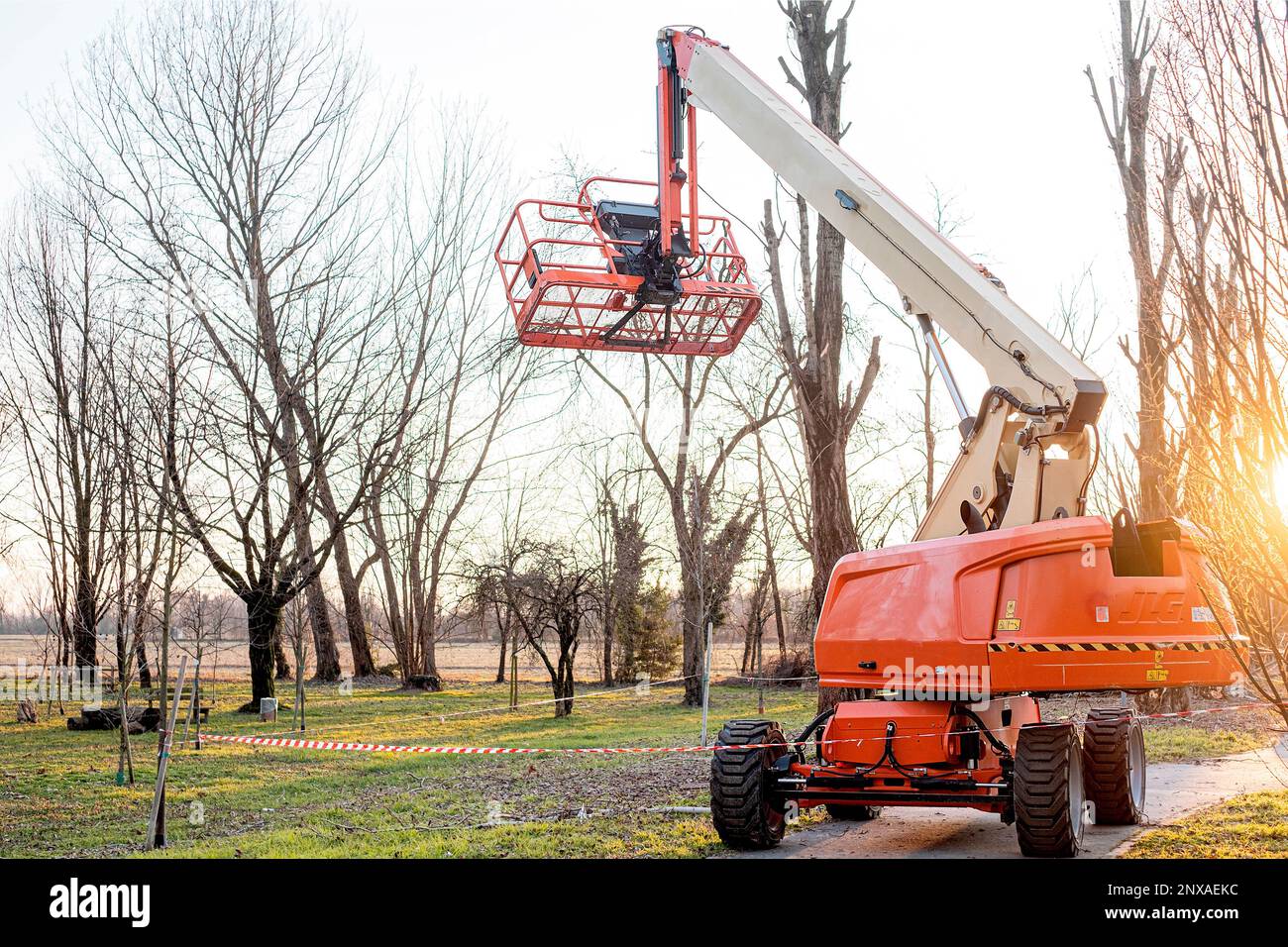 Seasonal tree pruning with a lifting work platform of car crane ...