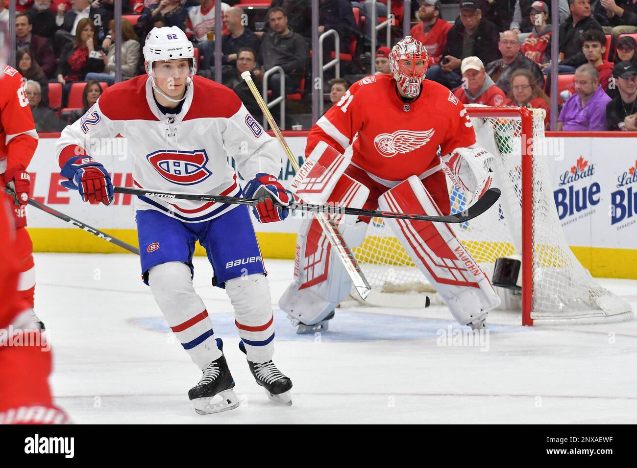 DETROIT, MI - APRIL 5: Detroit Red Wings Goalie Jared Coreau (31 ...