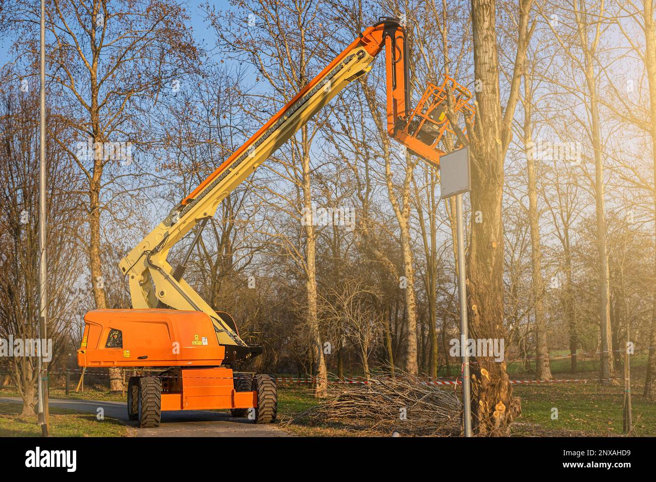 Seasonal tree pruning with a lifting work platform of car crane ...
