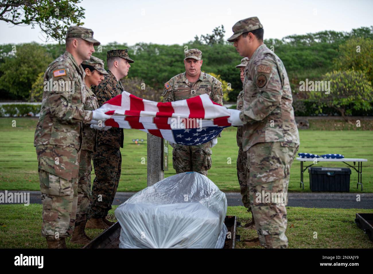 Members of the Defense POW/MIA Accounting Agency (DPAA) participate in ...