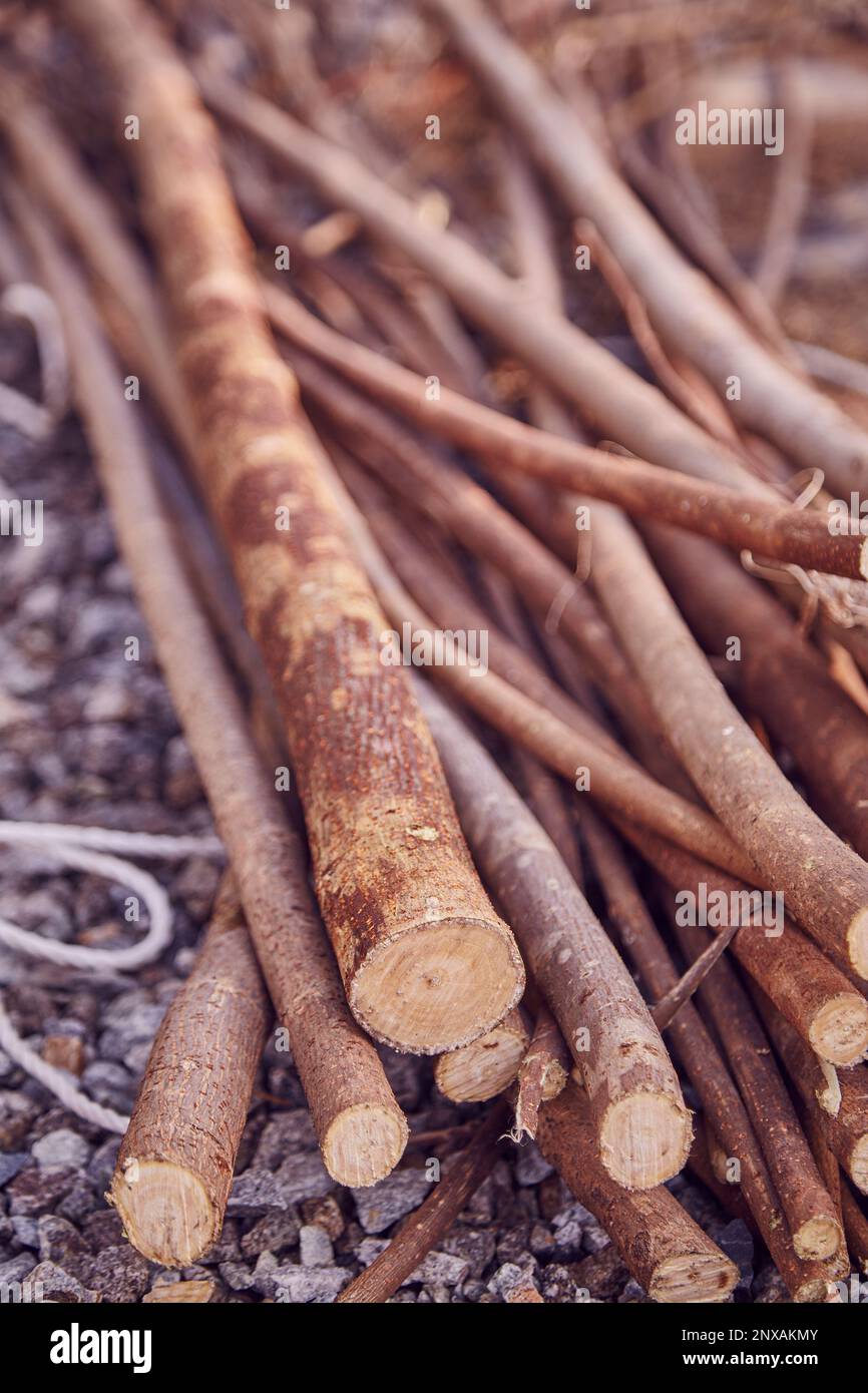 Hanji, traditional Korean paper, paper doll handmade from mulberry ...