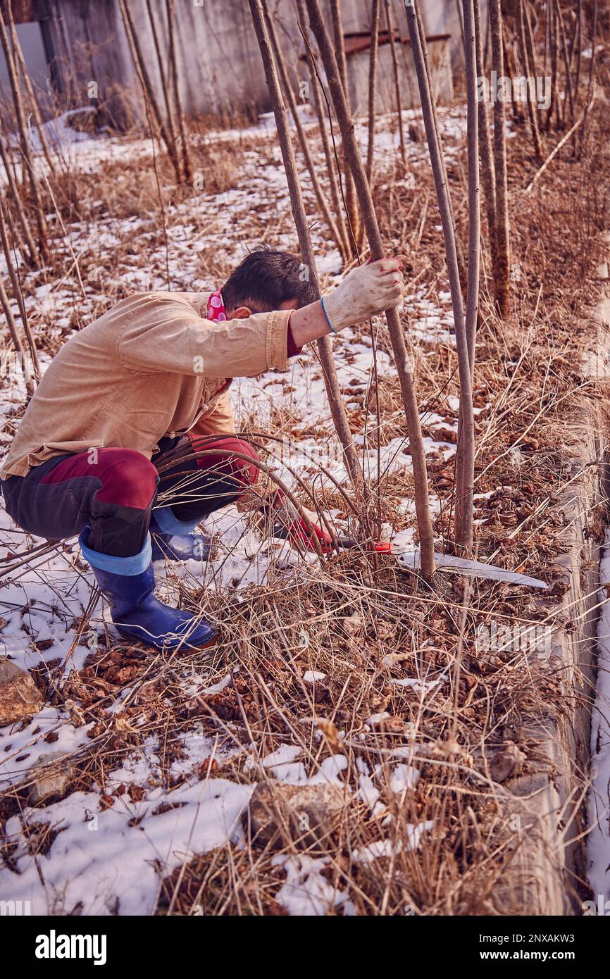 Hanji, traditional Korean paper, paper doll handmade from mulberry ...