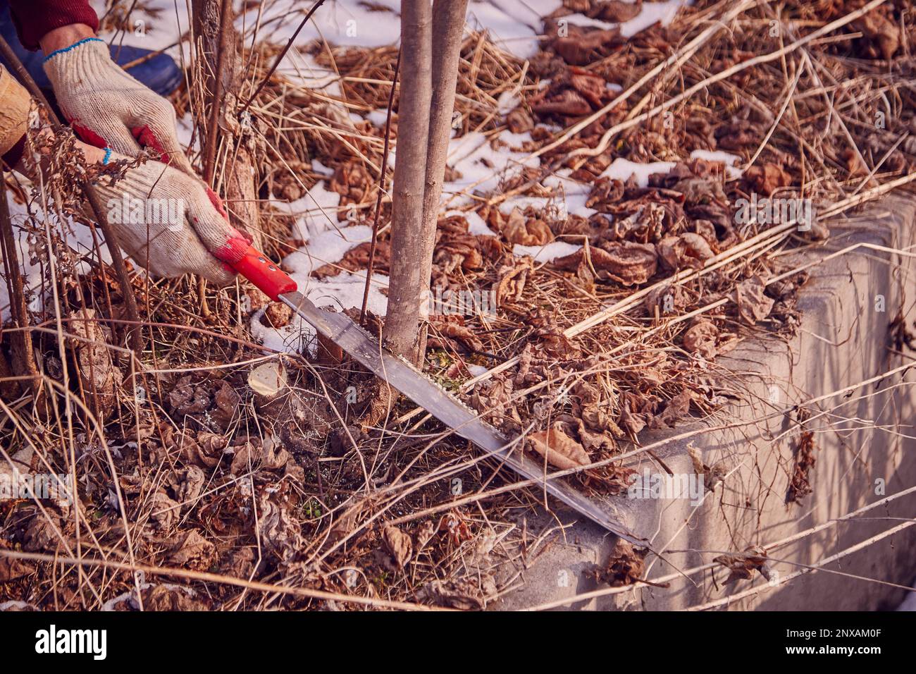 Hanji, traditional Korean paper, paper doll handmade from mulberry ...